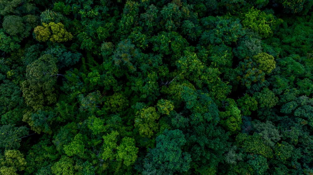 PSE - Environment - Paris School of Economics